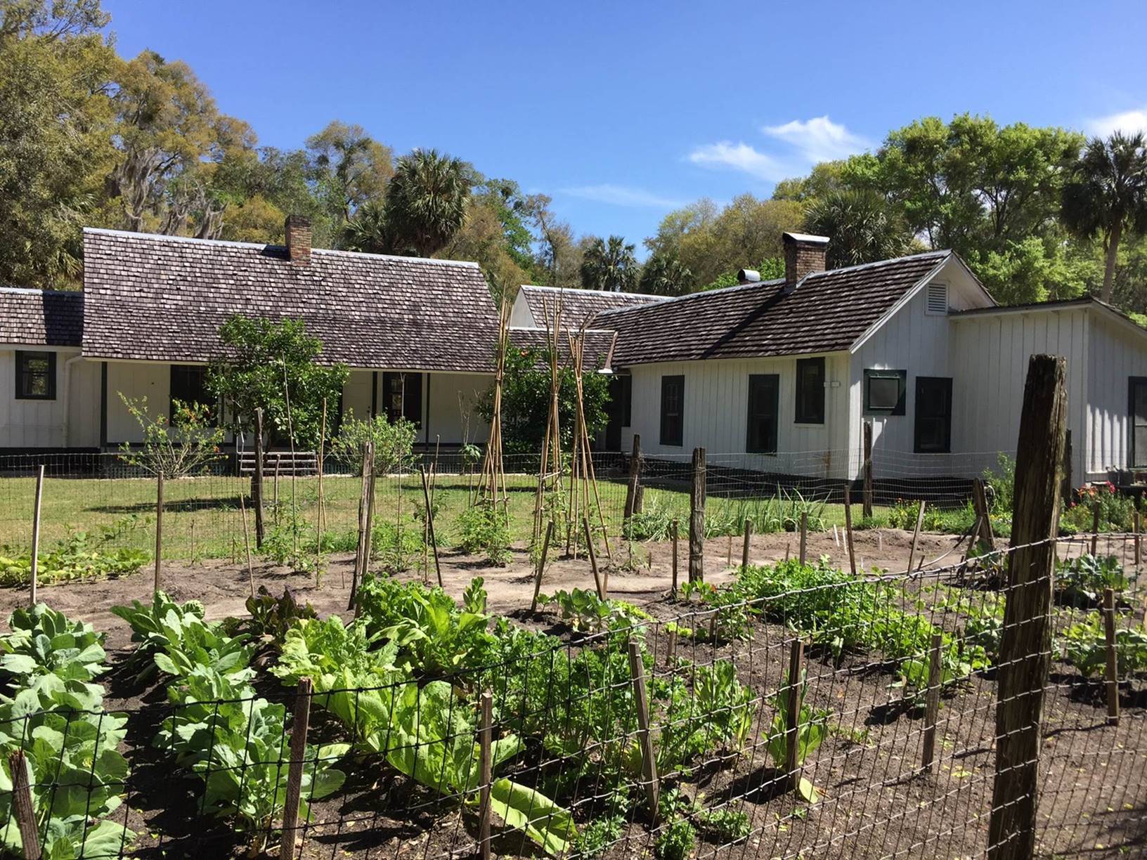 Hit the Books with Florida's Influential Authors | Florida State Parks