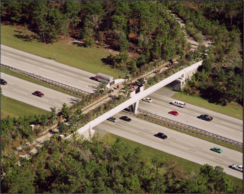Landbridge Trailhead | Florida State Parks