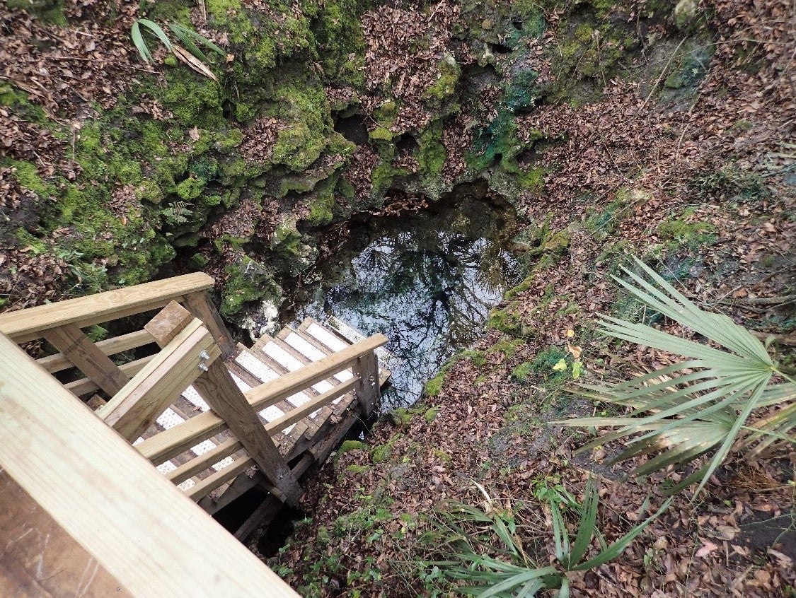 Swimming and Diving at Madison Blue | Florida State Parks