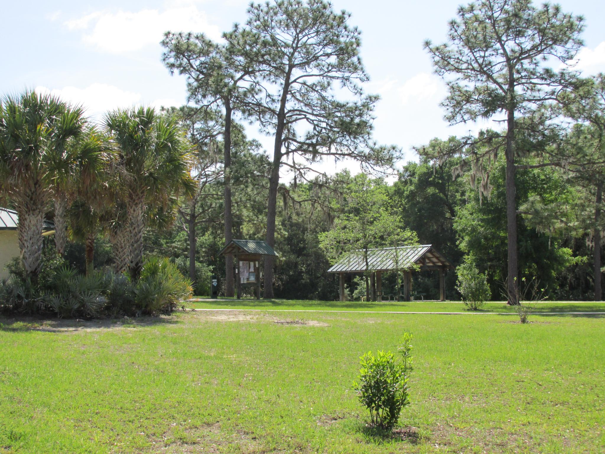 Ross Prairie Trailhead & Campground | Florida State Parks
