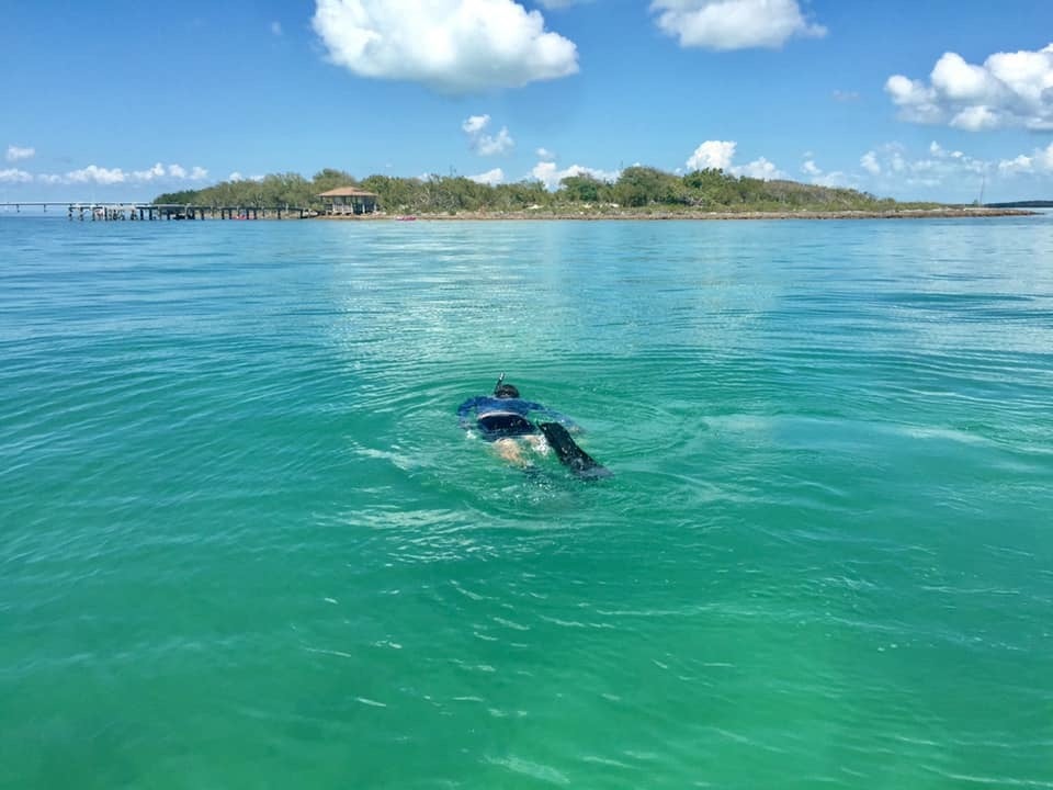 Snorkeling Indian Key | Florida State Parks