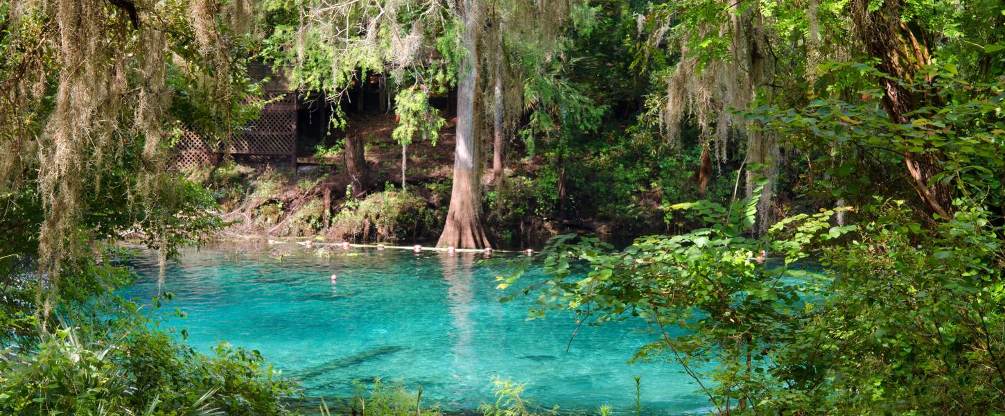 Fanning Springs State Park | Florida State Parks
