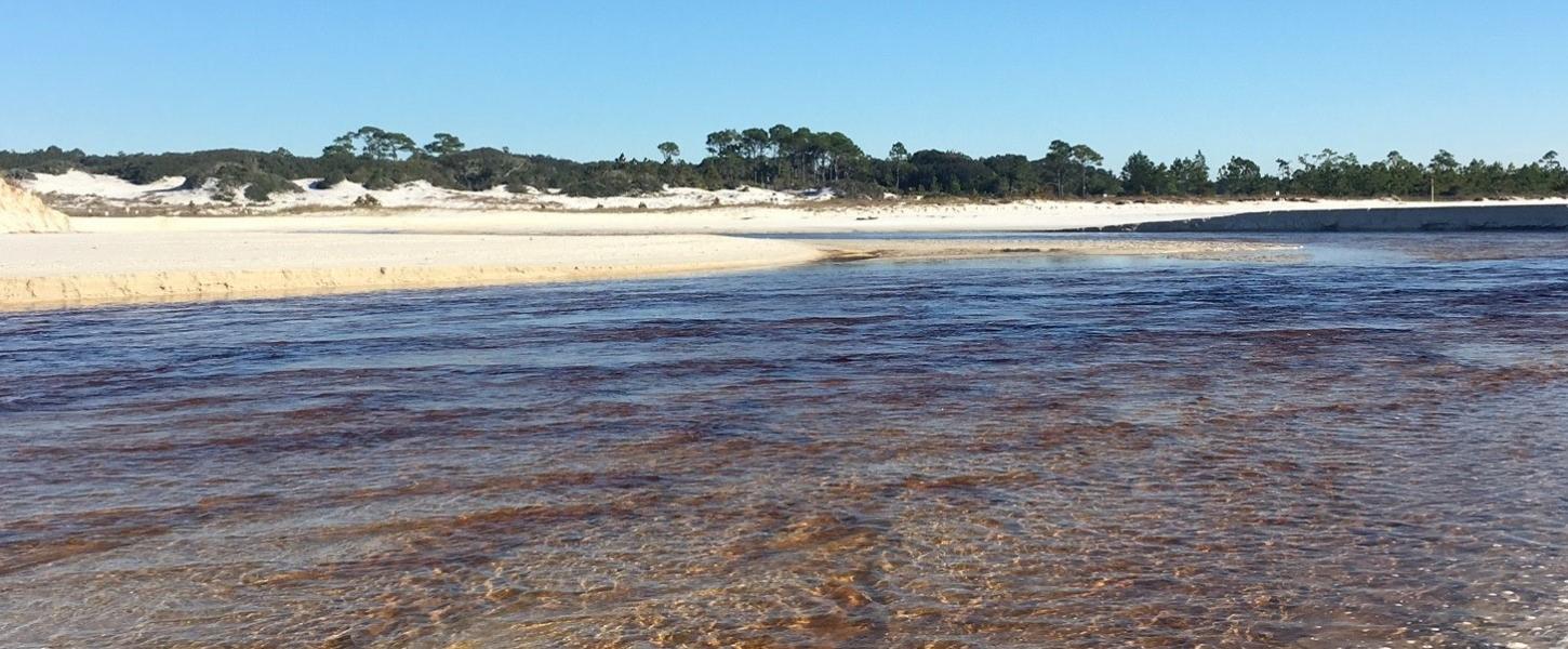 Lake Powell at Camp Helen | Florida State Parks