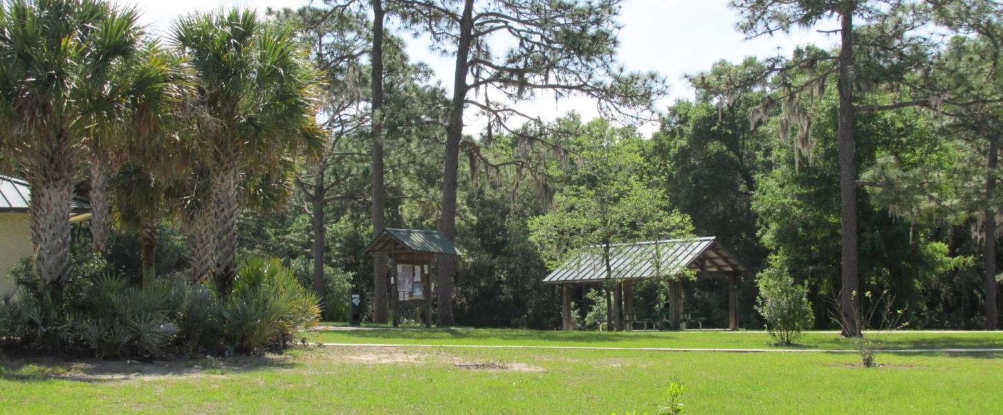 Ross Prairie Trailhead & Campground | Florida State Parks