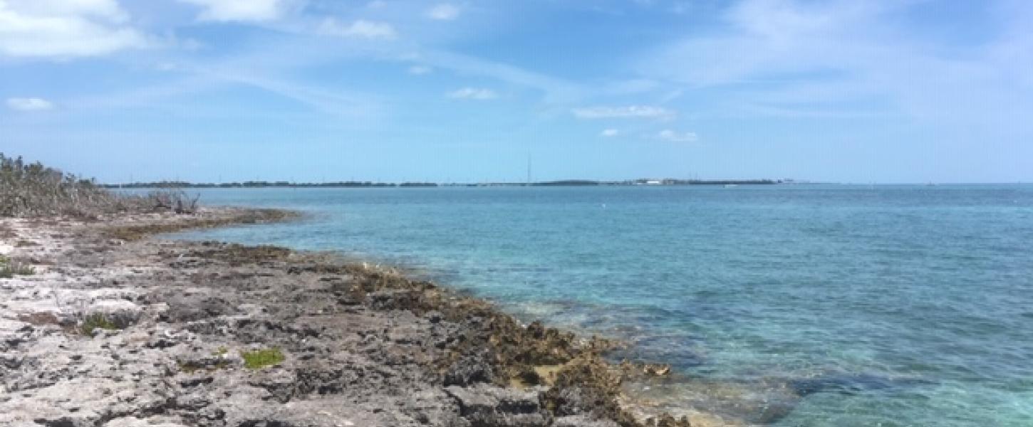 Snorkeling Indian Key | Florida State Parks