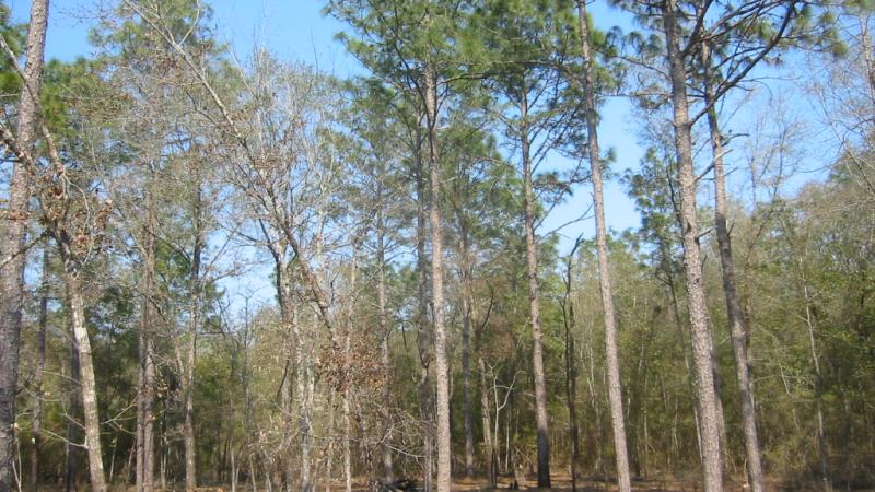 Lake Talquin State Park | Florida State Parks