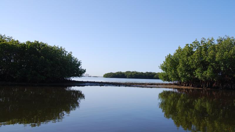 Cockroach Bay Preserve State Park | Florida State Parks Cockroach Bay Preserve State Park | Florida State Parks