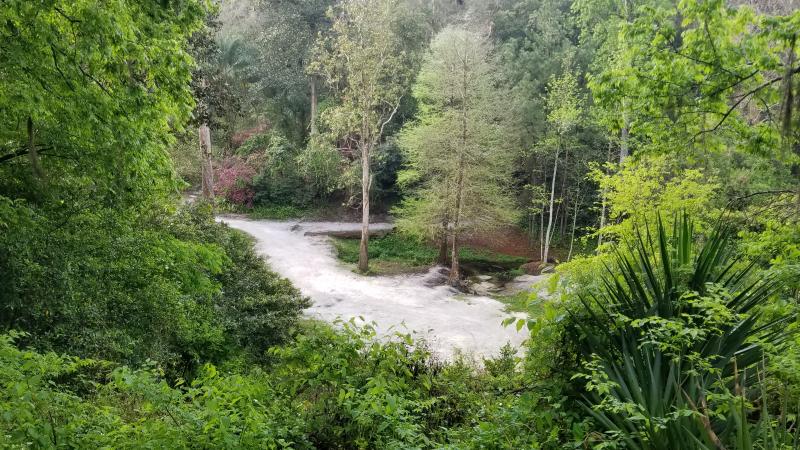 Ravine Gardens State Park | Florida State Parks