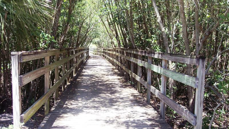 Fort Pierce Inlet State Park | Florida State Parks