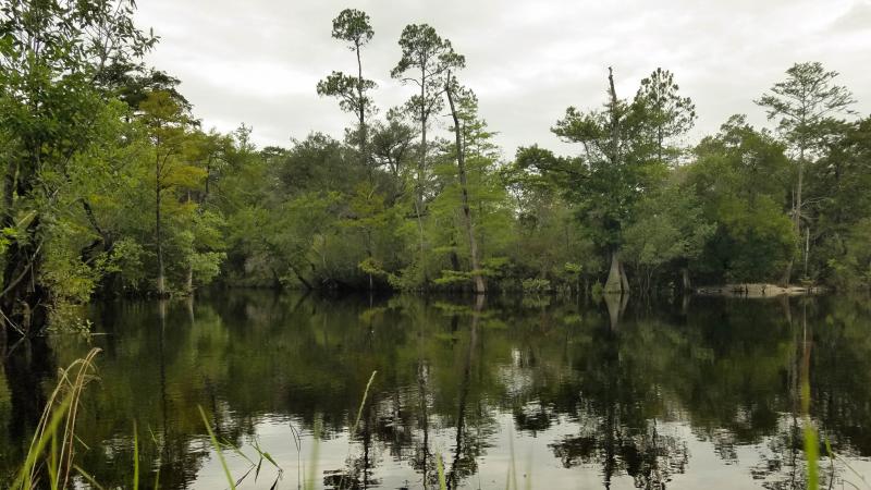 Econfina River State Park | Florida State Parks