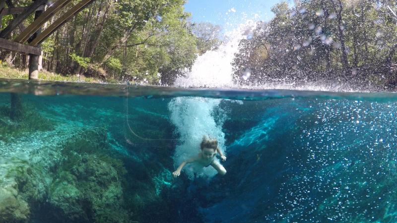 Fanning Springs State Park | Florida State Parks