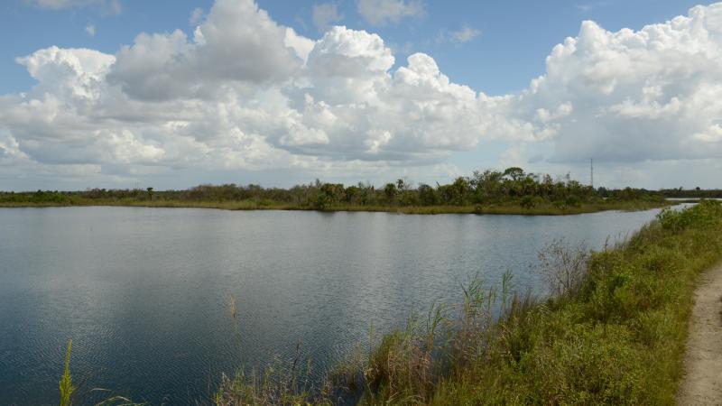 Fakahatchee Strand Preserve State Park | Florida State Parks