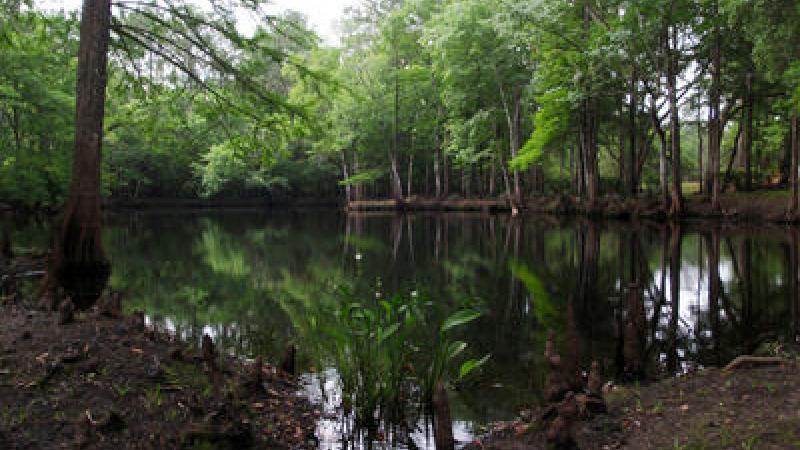 Natural Bridge Battlefield Historic State Park | Florida State Parks