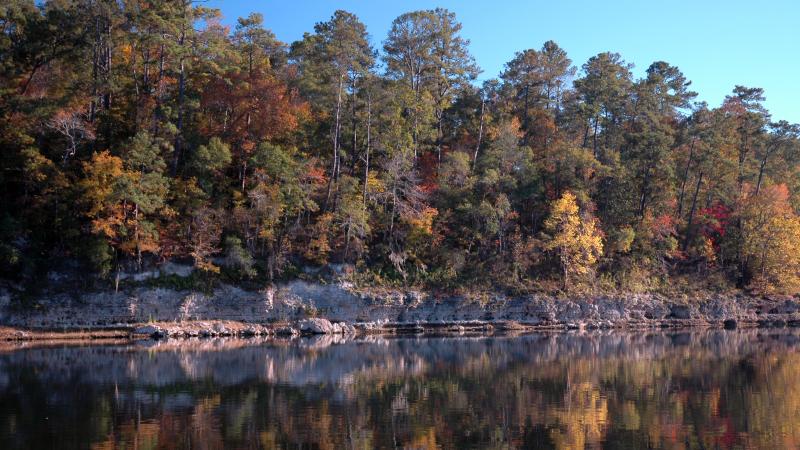 Torreya State Park | Florida State Parks