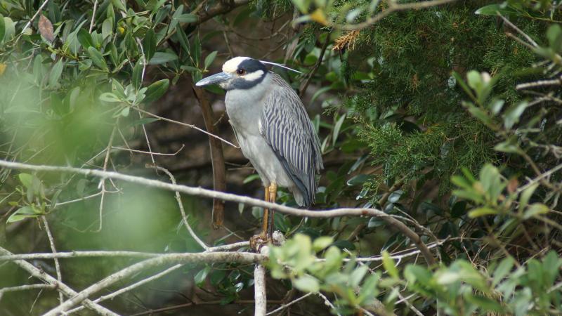 North Peninsula State Park | Florida State Parks