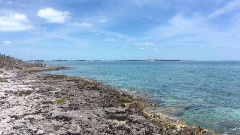 Indian Key Historic State Park | Florida State Parks