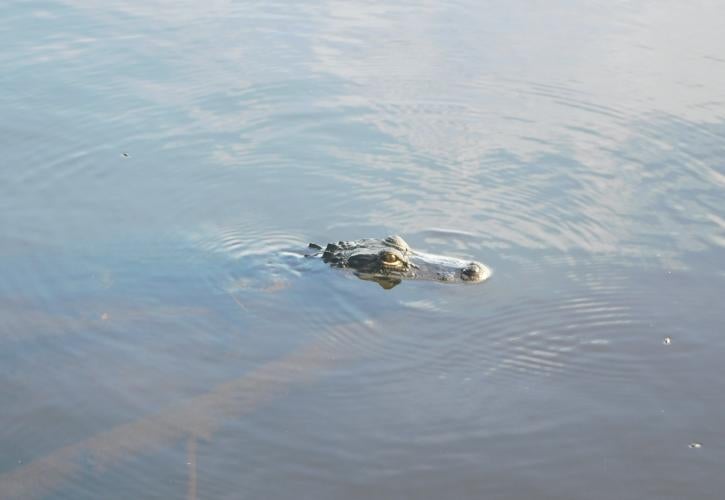 Lake Talquin State Park | Florida State Parks