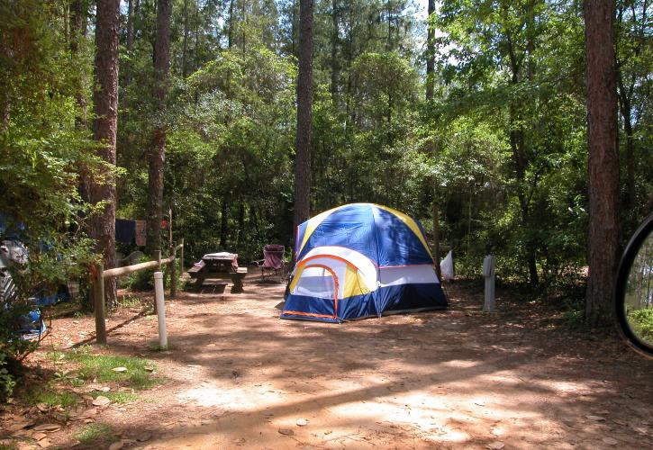 Blackwater River State Park | Florida State Parks