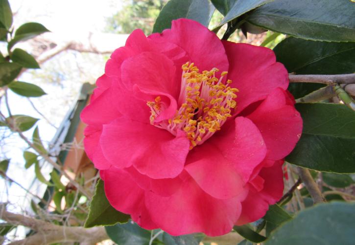 Ravine Gardens State Park | Florida State Parks