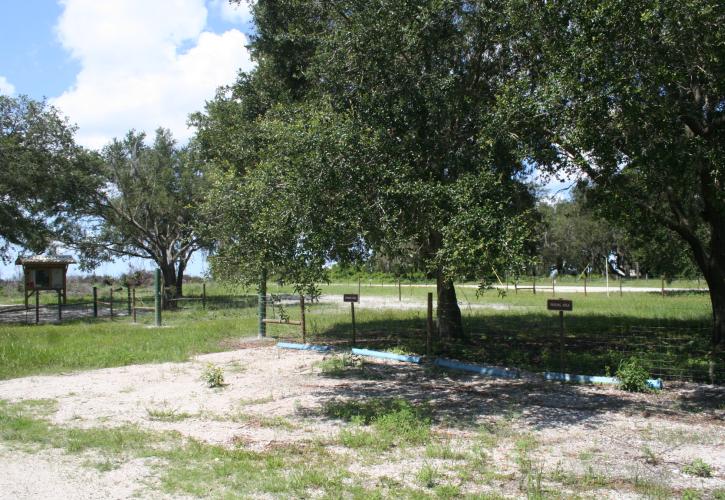 Wingate Creek State Park | Florida State Parks