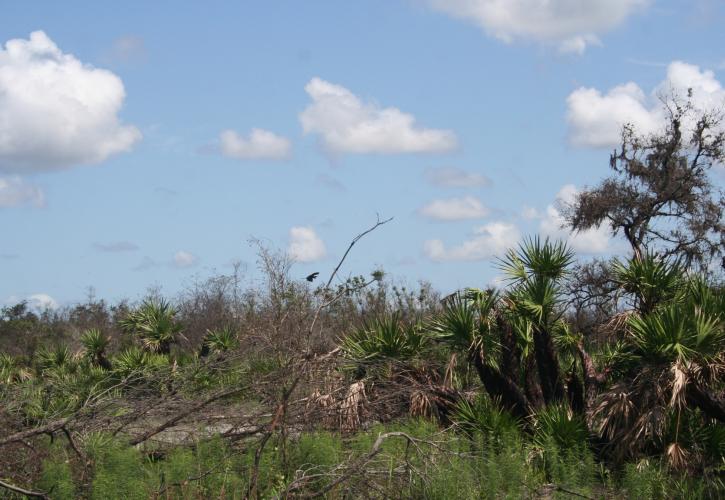 Wingate Creek State Park | Florida State Parks