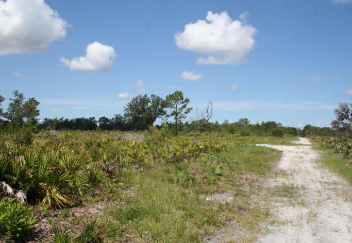 Wingate Creek State Park | Florida State Parks
