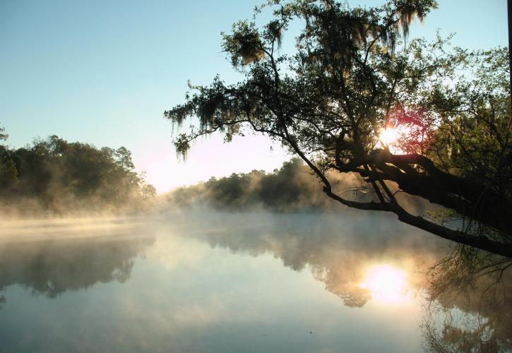 Troy Spring State Park | Florida State Parks