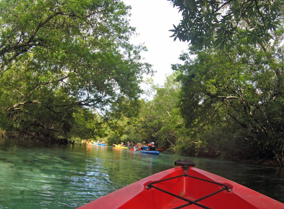 Explore the Waterways at Myakka | Florida State Parks