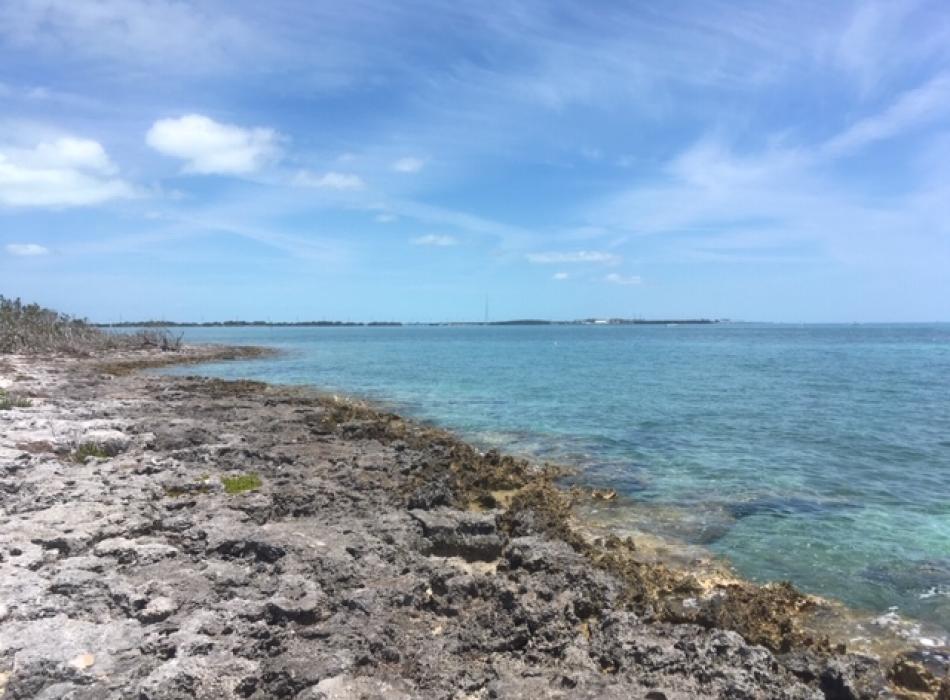 Snorkeling Indian Key | Florida State Parks